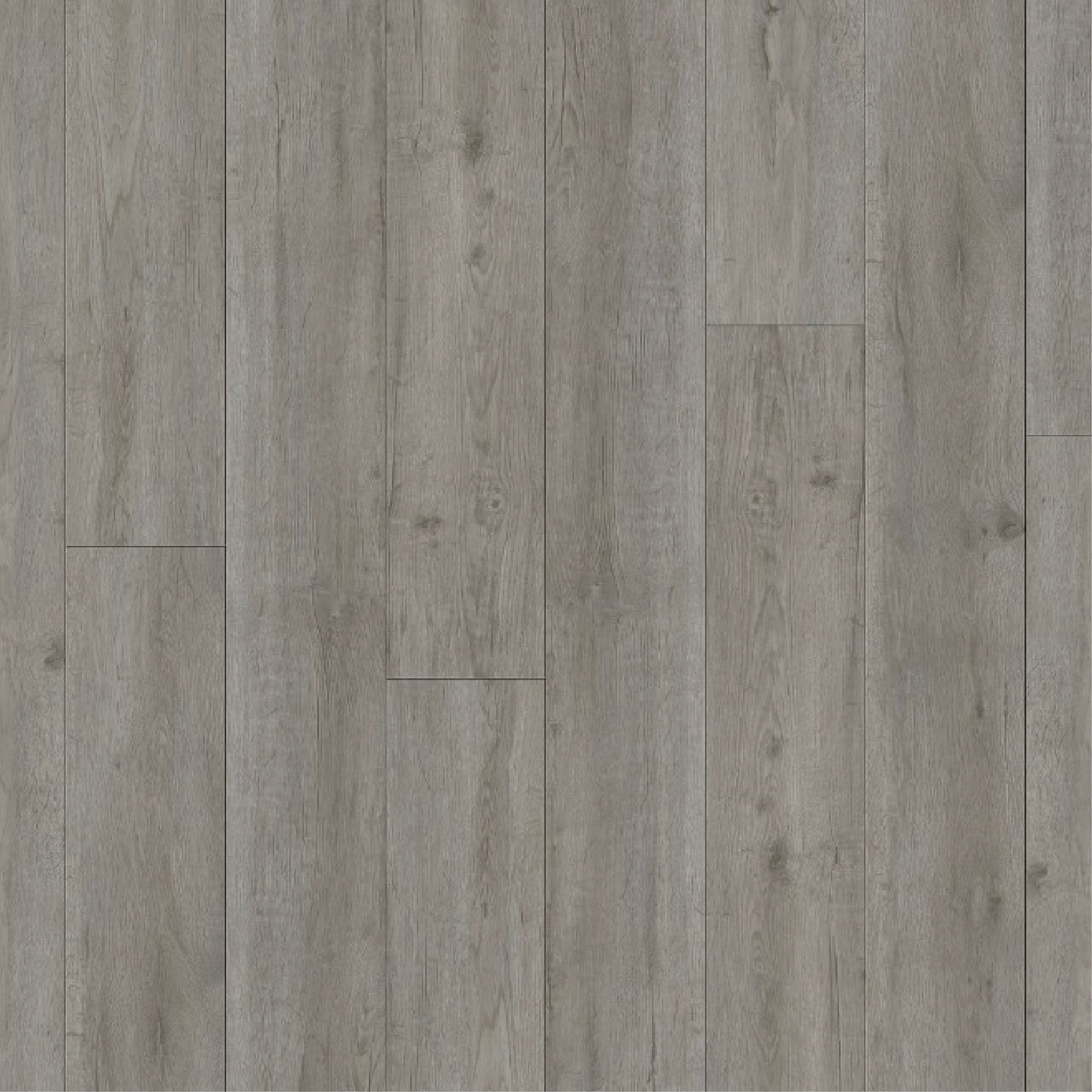 Grey Pine – NewVinyl